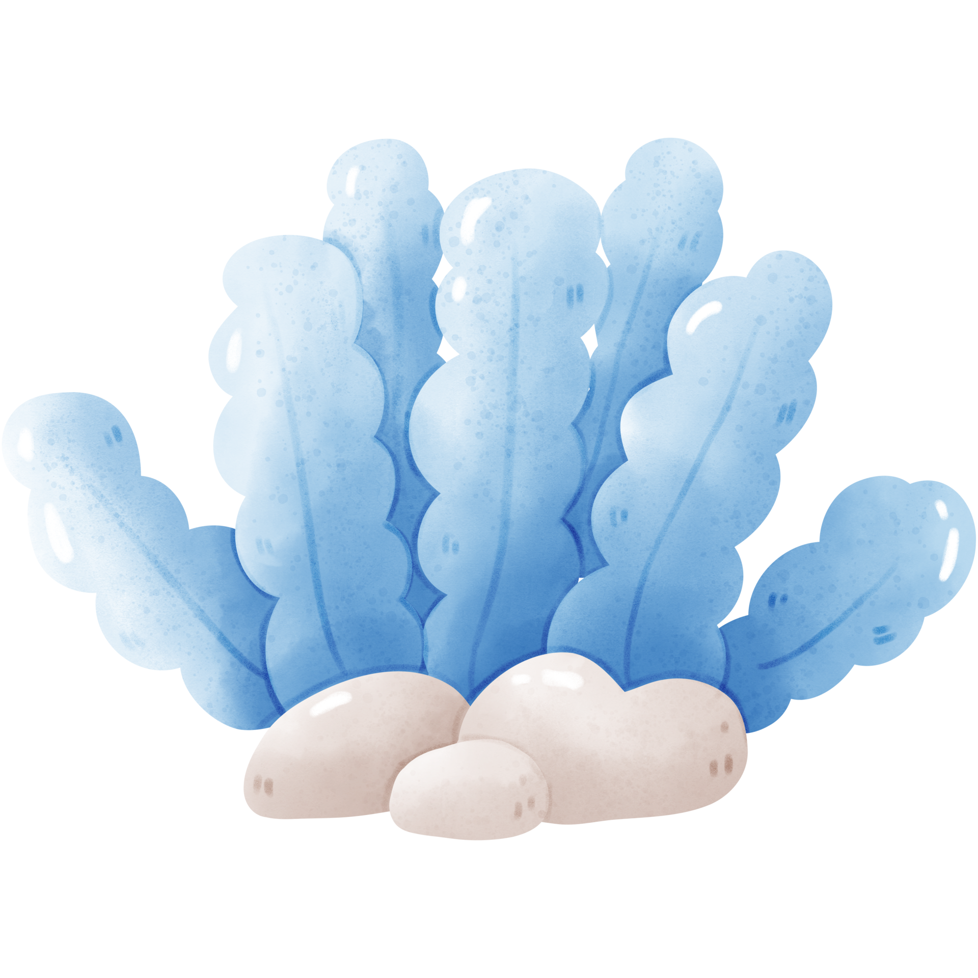 Watercolor Sea Coral 11288338 Png