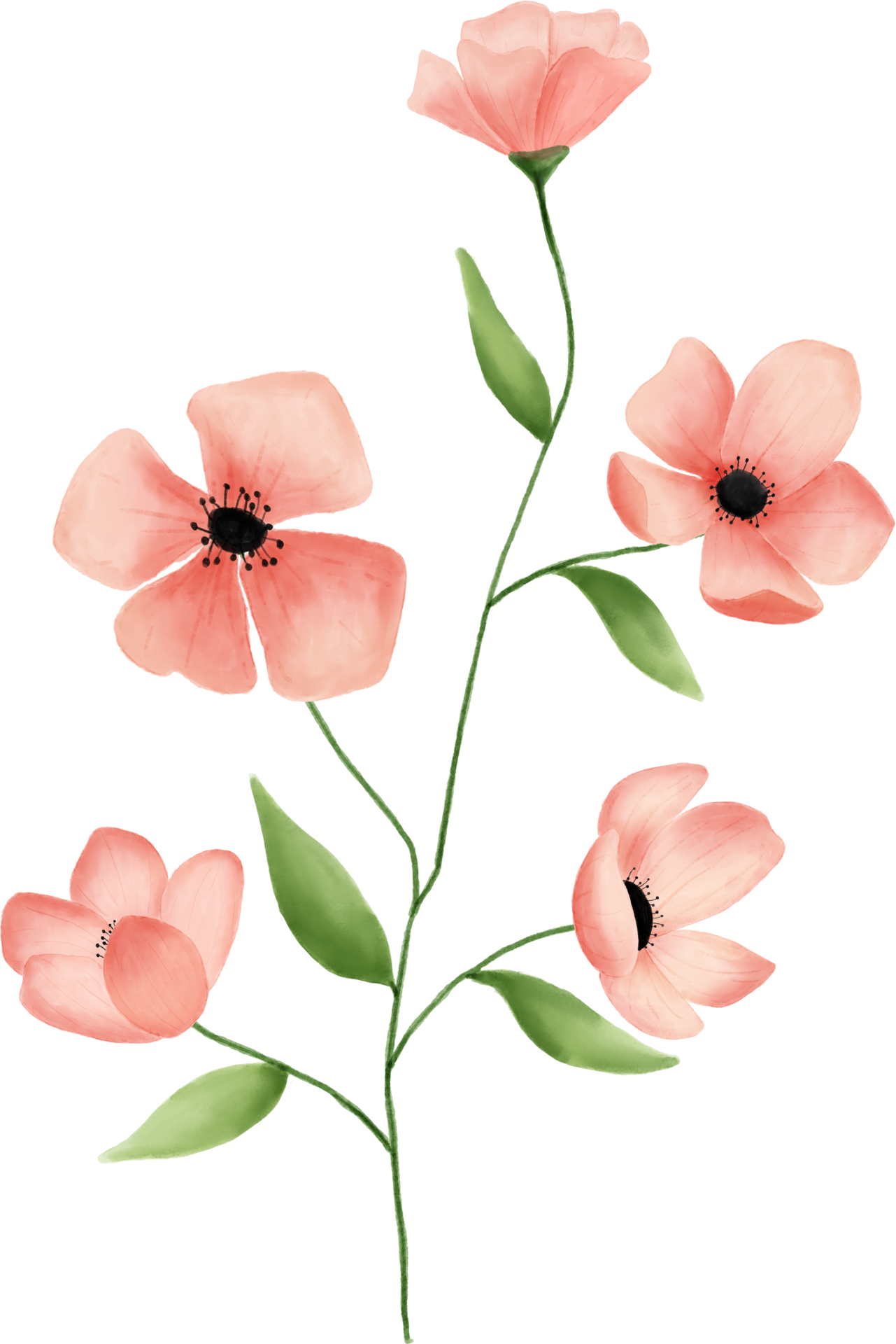 Pink Flower Leaves Floral Watercolor For Decoration 11306466 Png