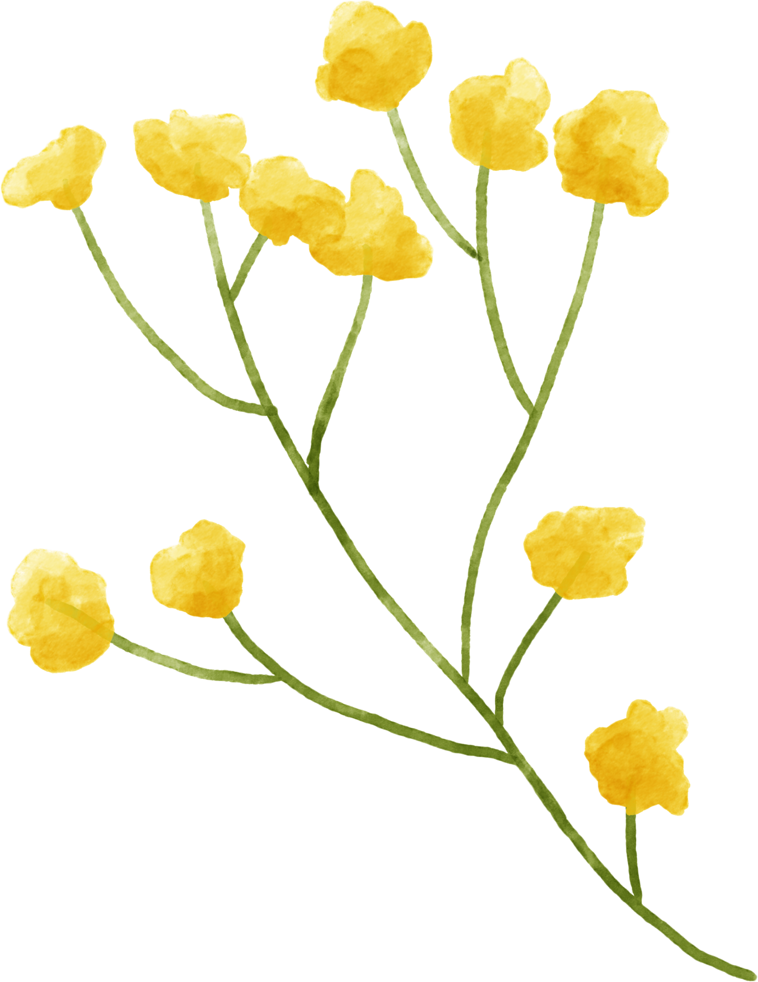 flor amarela floral aquarela para decoração 11306494 PNG flor amarela floral aquarela para decoração 11306494 PNG