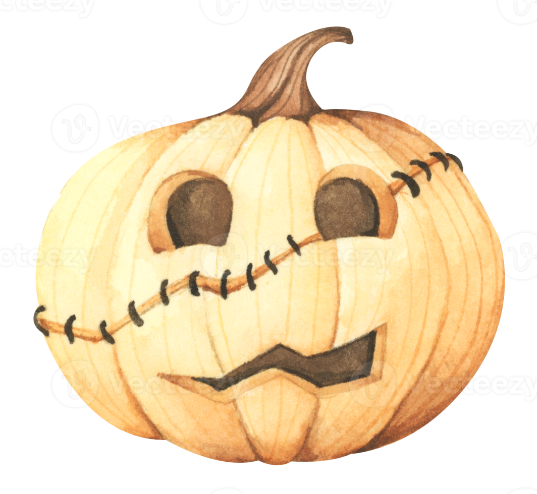 Pumpkin for Halloween. Watercolor illustration. 11308245 PNG