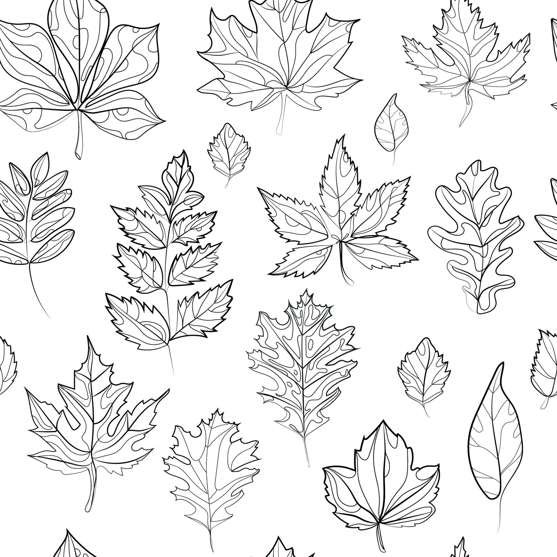 Autumn Trees And Leaves Drawing