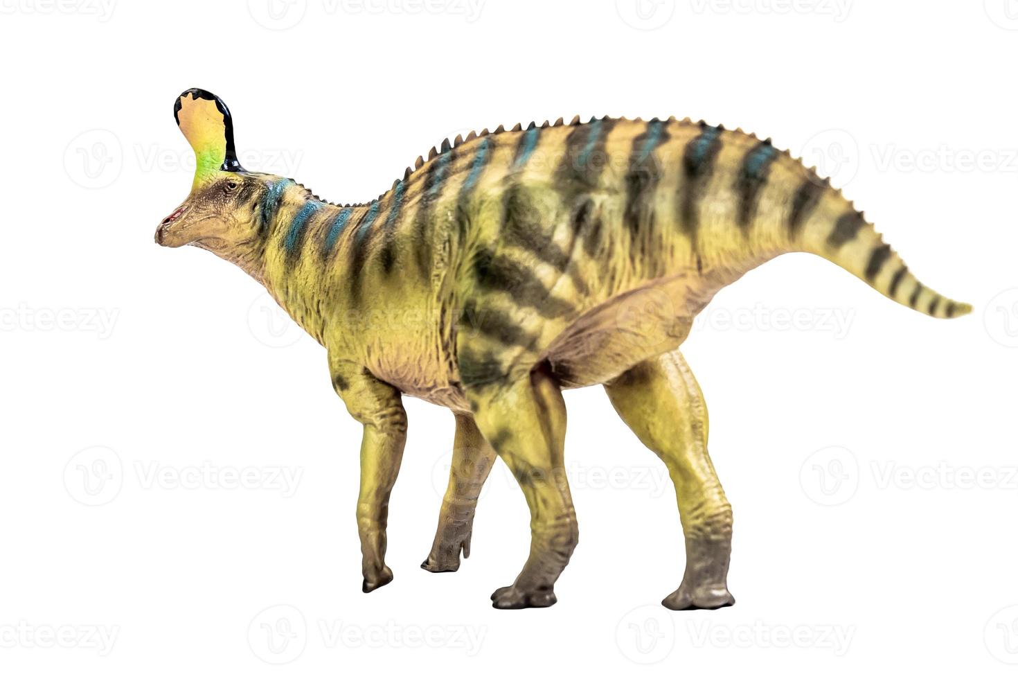 Tsintaosaurus Spinorhinus Dinosaur on white isolate background Clipping path 11344482 Stock ...