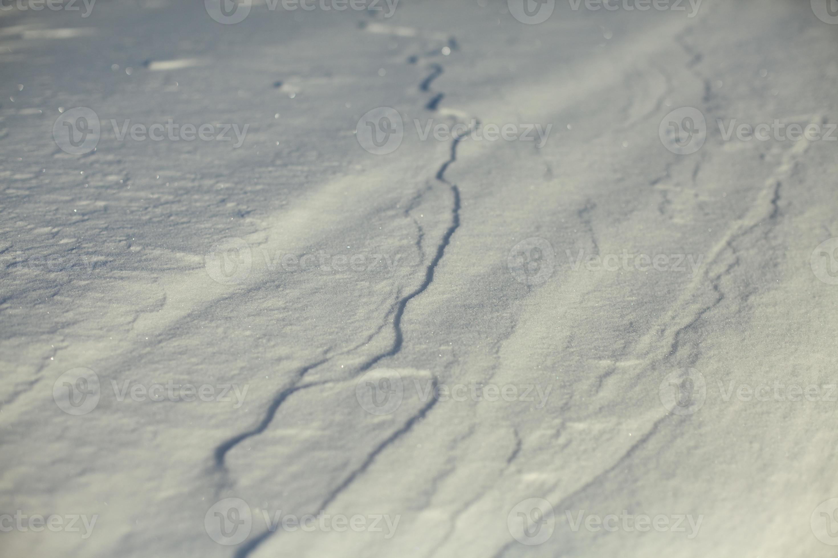 Snow texture. Windy surface of snowdrift. Snowy field. Winter weather ...