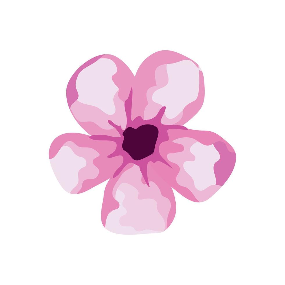 pink flower spring 11376032 Vector Art at Vecteezy