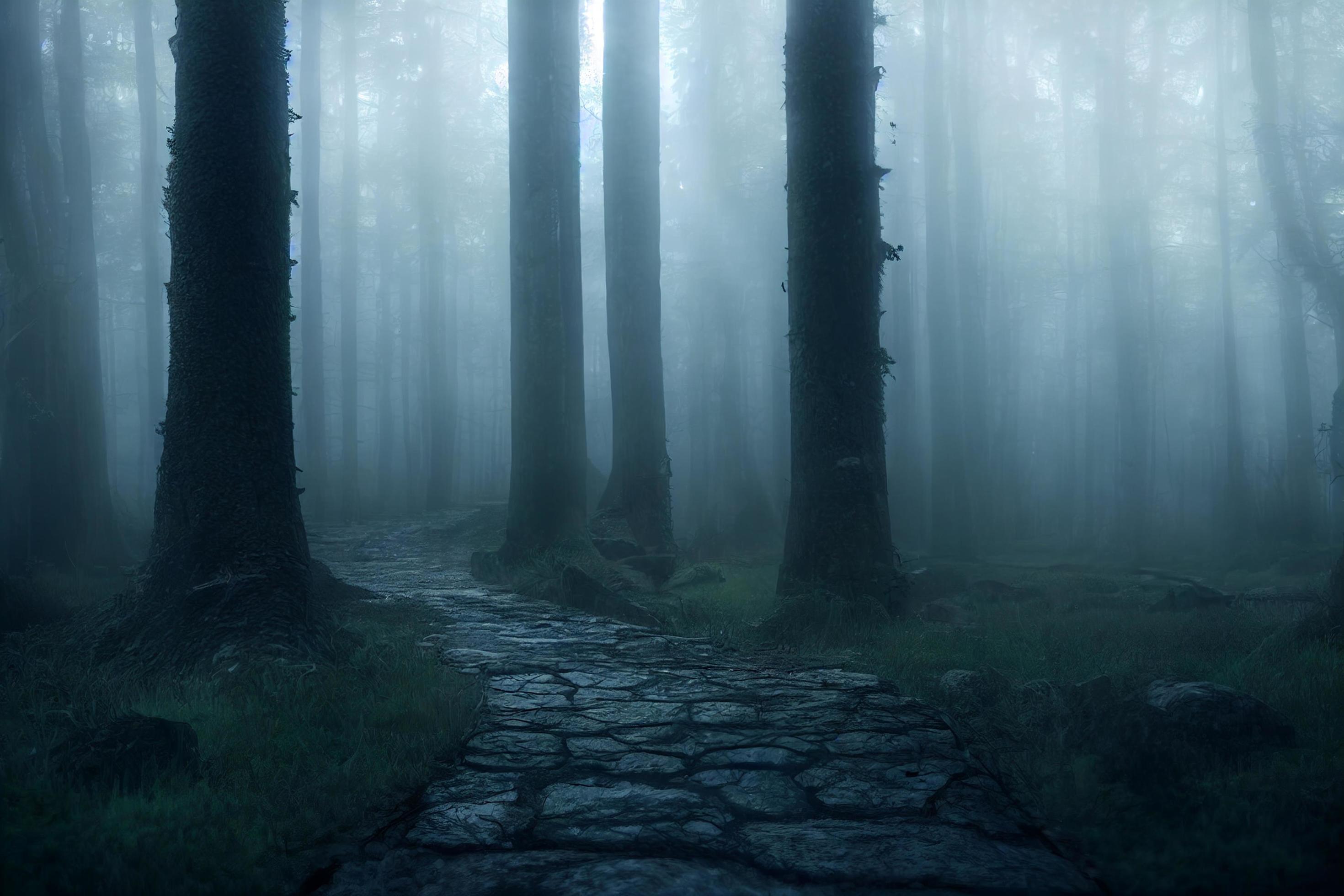 Creepy Forest Path Creepy Forest Path