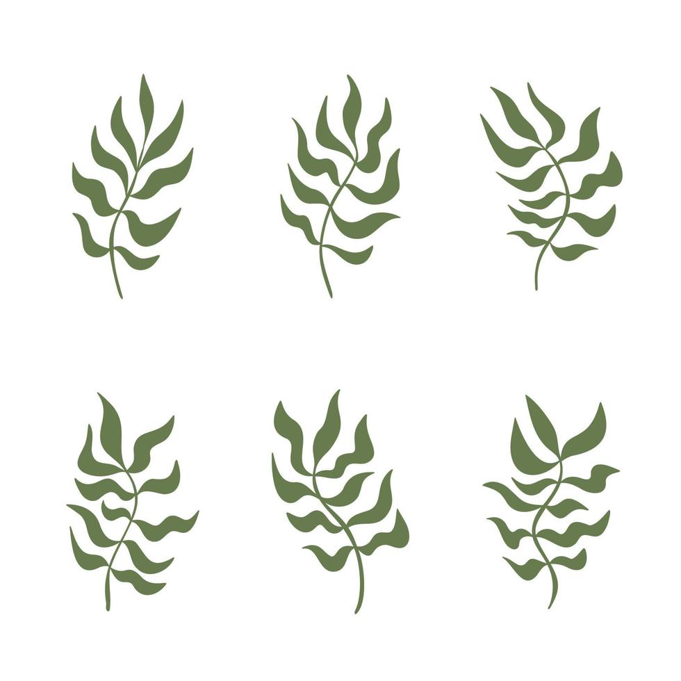 Set Of Abstract Wavy Plant Or Grass Brunches Curved Leaves Collection For Wall Decor Poster