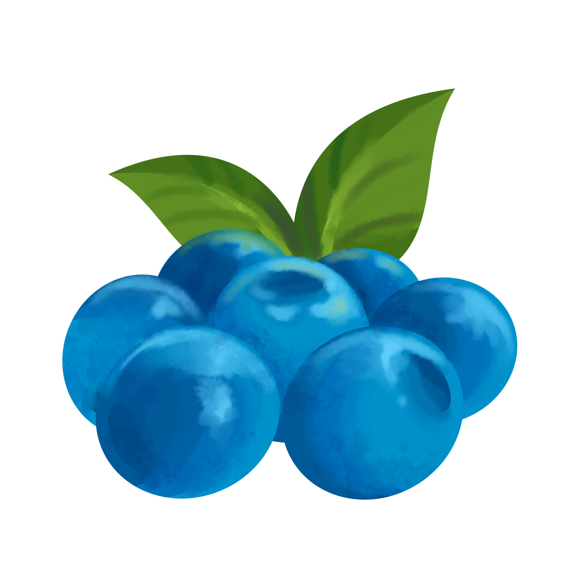 Blueberry Fruit Cartoon Blueberry Fruit Cartoon