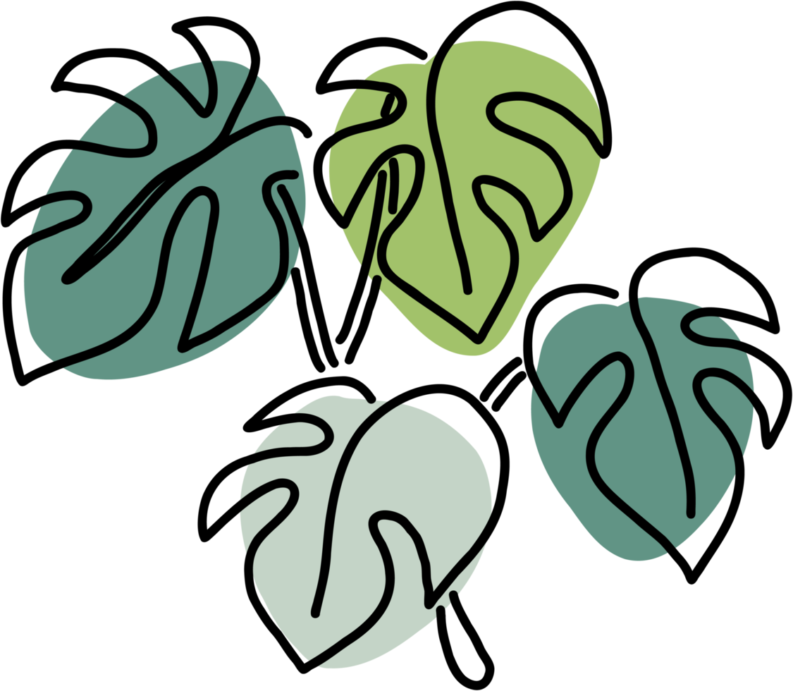 Simplicité Monstera Plante Dessin à Main Levée Design Plat 11434254 Png