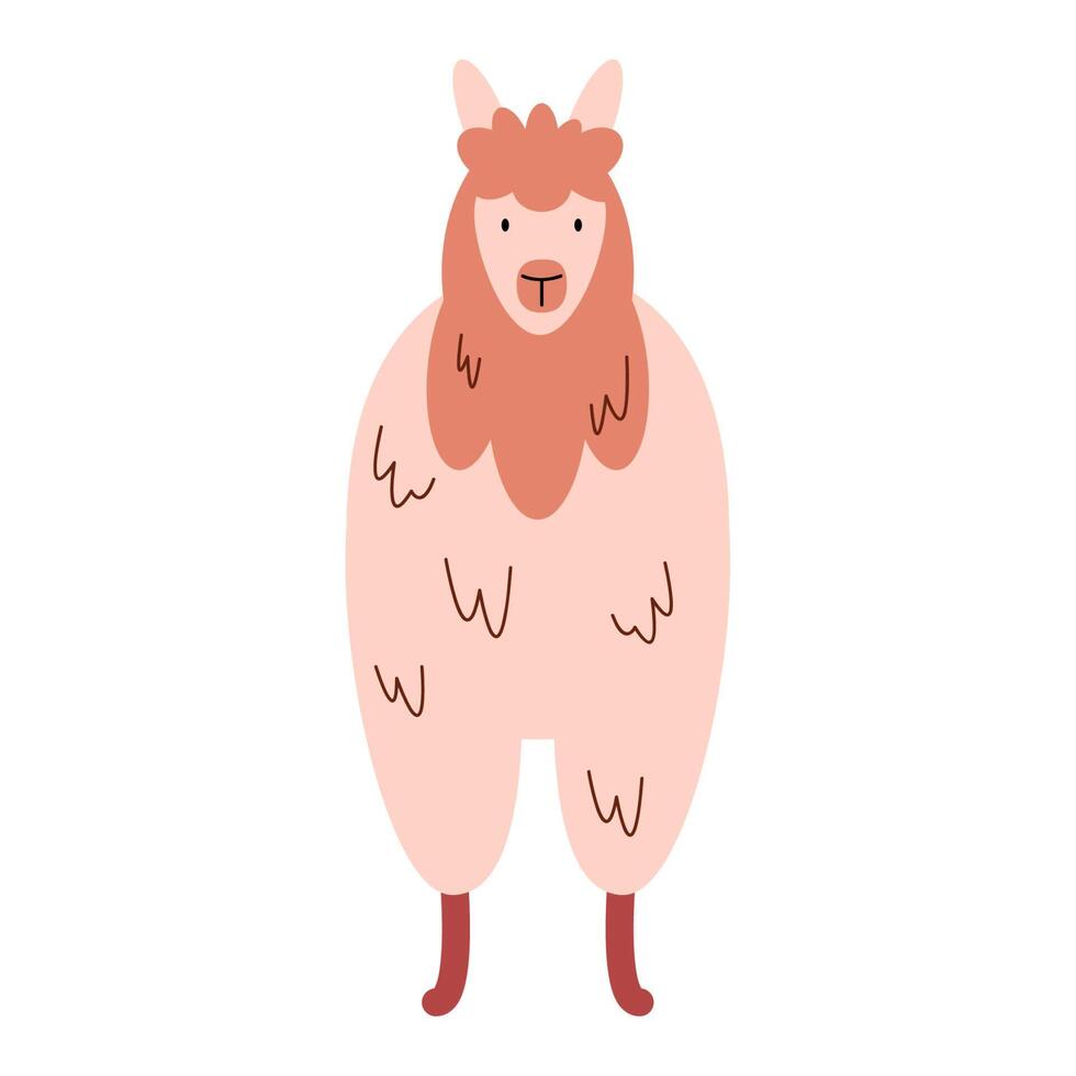 pink llama perubian front 11456937 Vector Art at Vecteezy