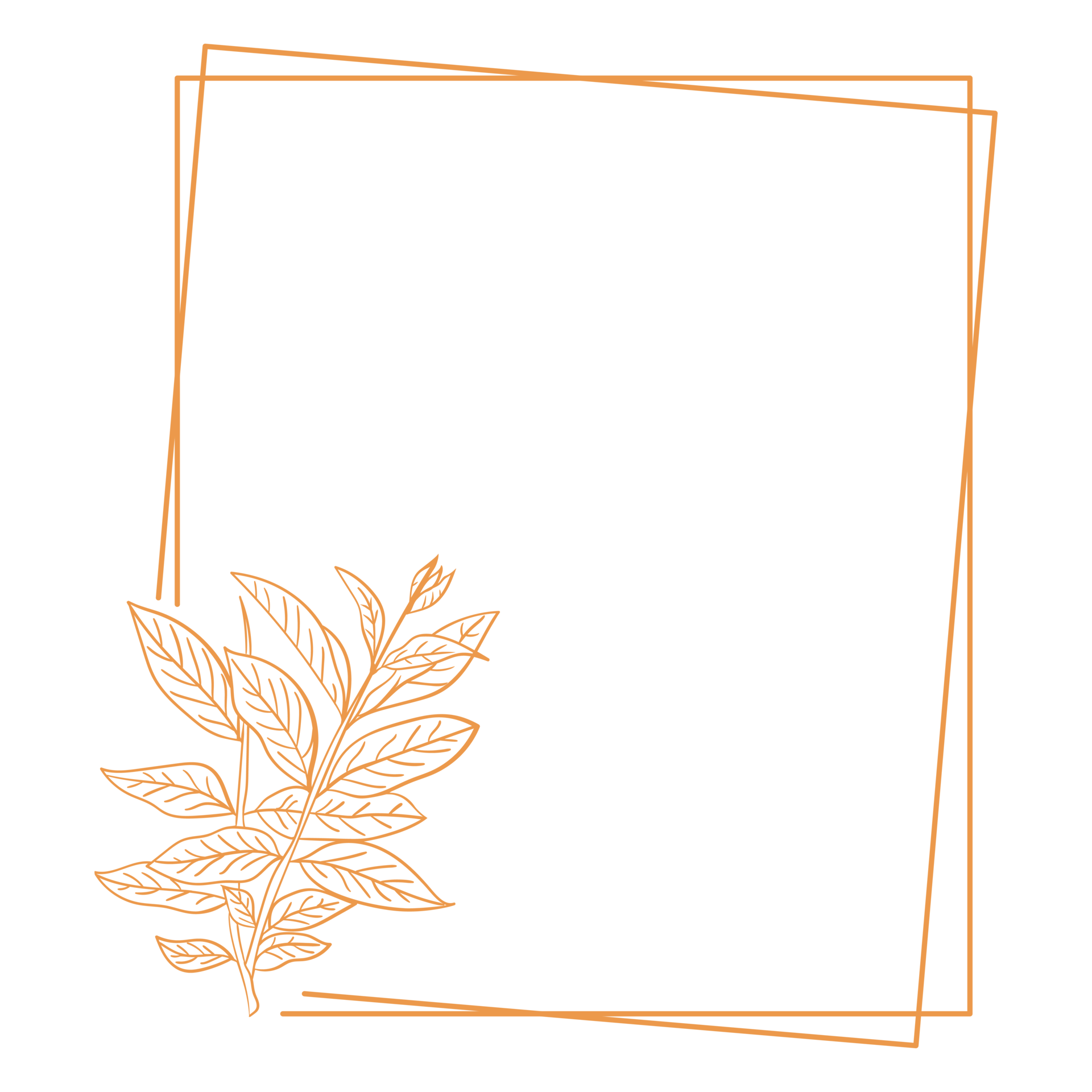 Minimalist Floral Frame 11459219 Png