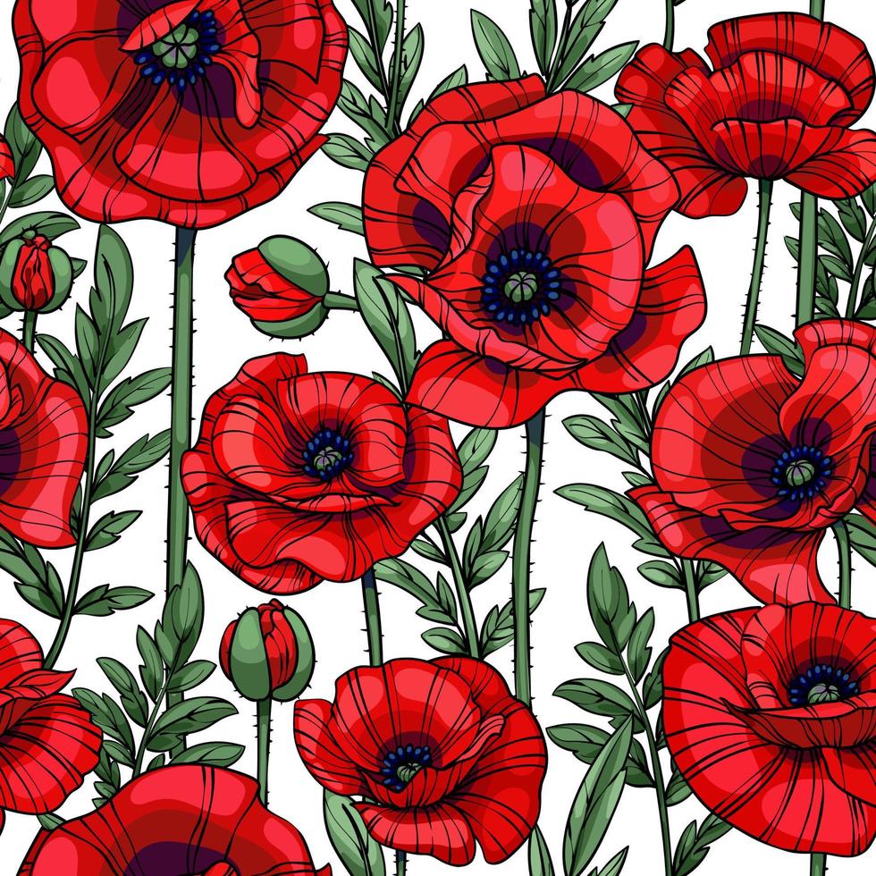Scarlet Red Poppies Flowers Leaves And Stems Seamless Vector Pattern