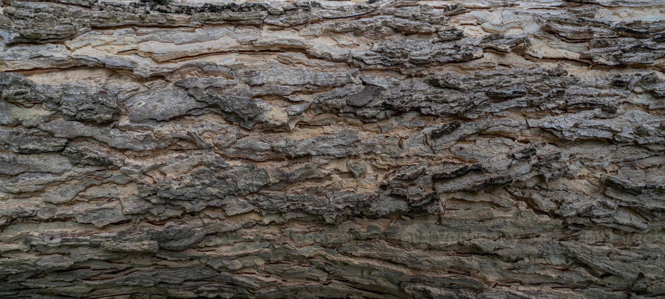 Tree Bark Textures Background