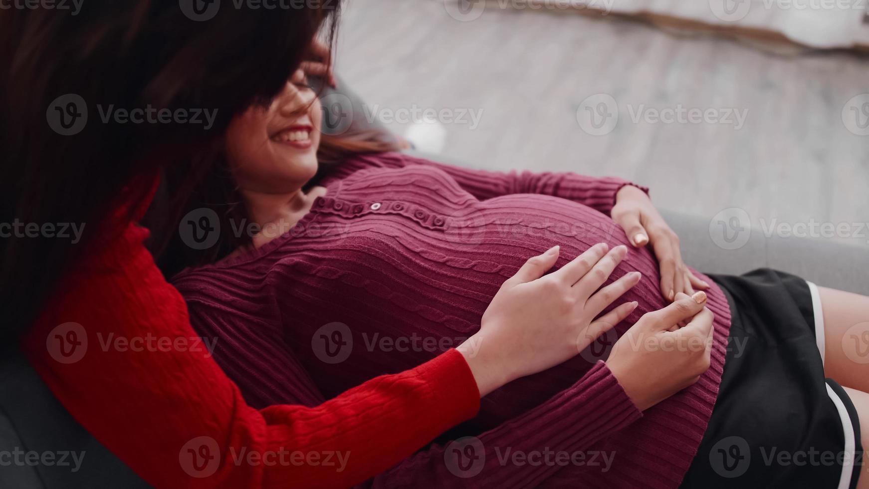 Happy Pregnant Lesbian Couple Spending Time Together At Home 11556019