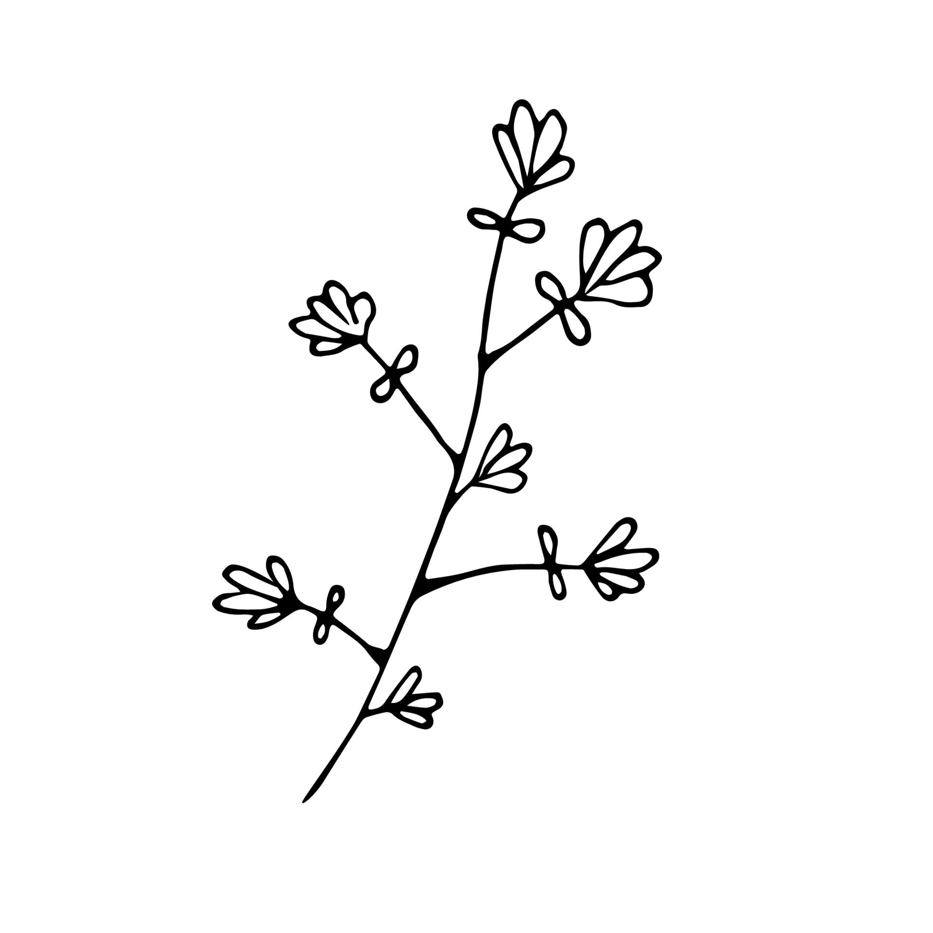 Hand Drawn Doodle Leaf Vector Clipart With Branch 11563888 Vector Art