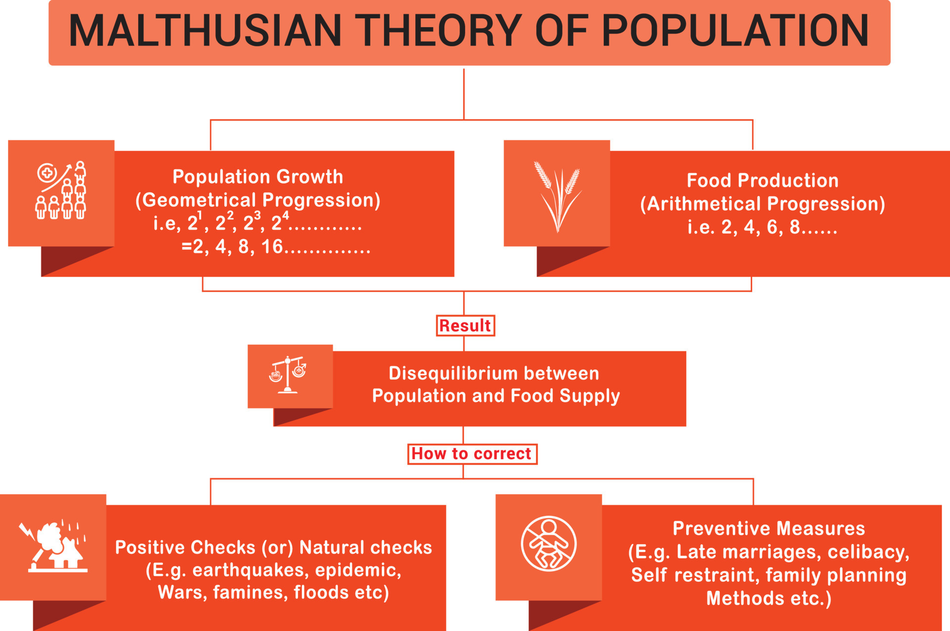 Malthusian Theory Of Population Infographic Illustration Thomas Robert Malthus Developed The