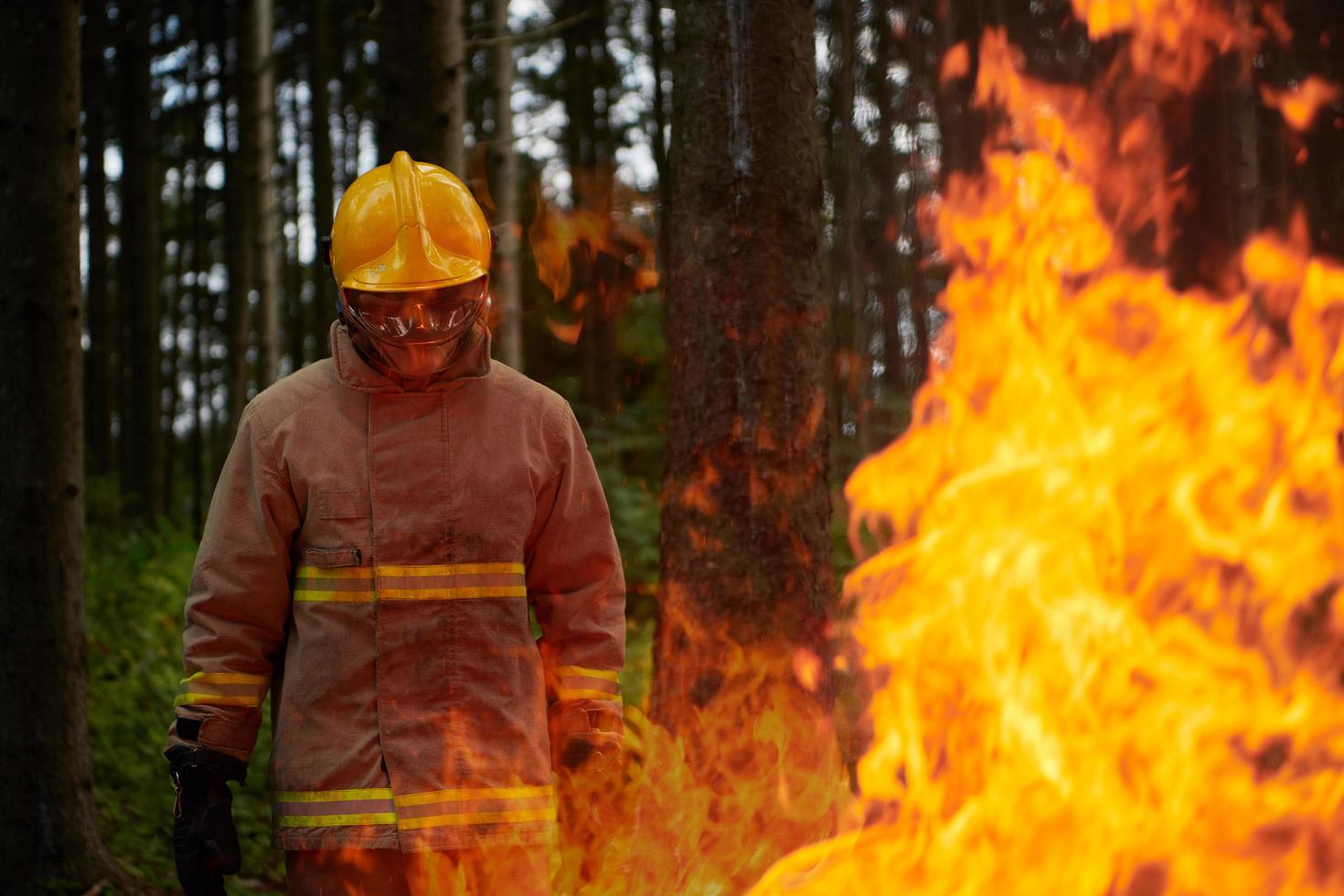 firefighter portrait view 11615537 Stock Photo at Vecteezy