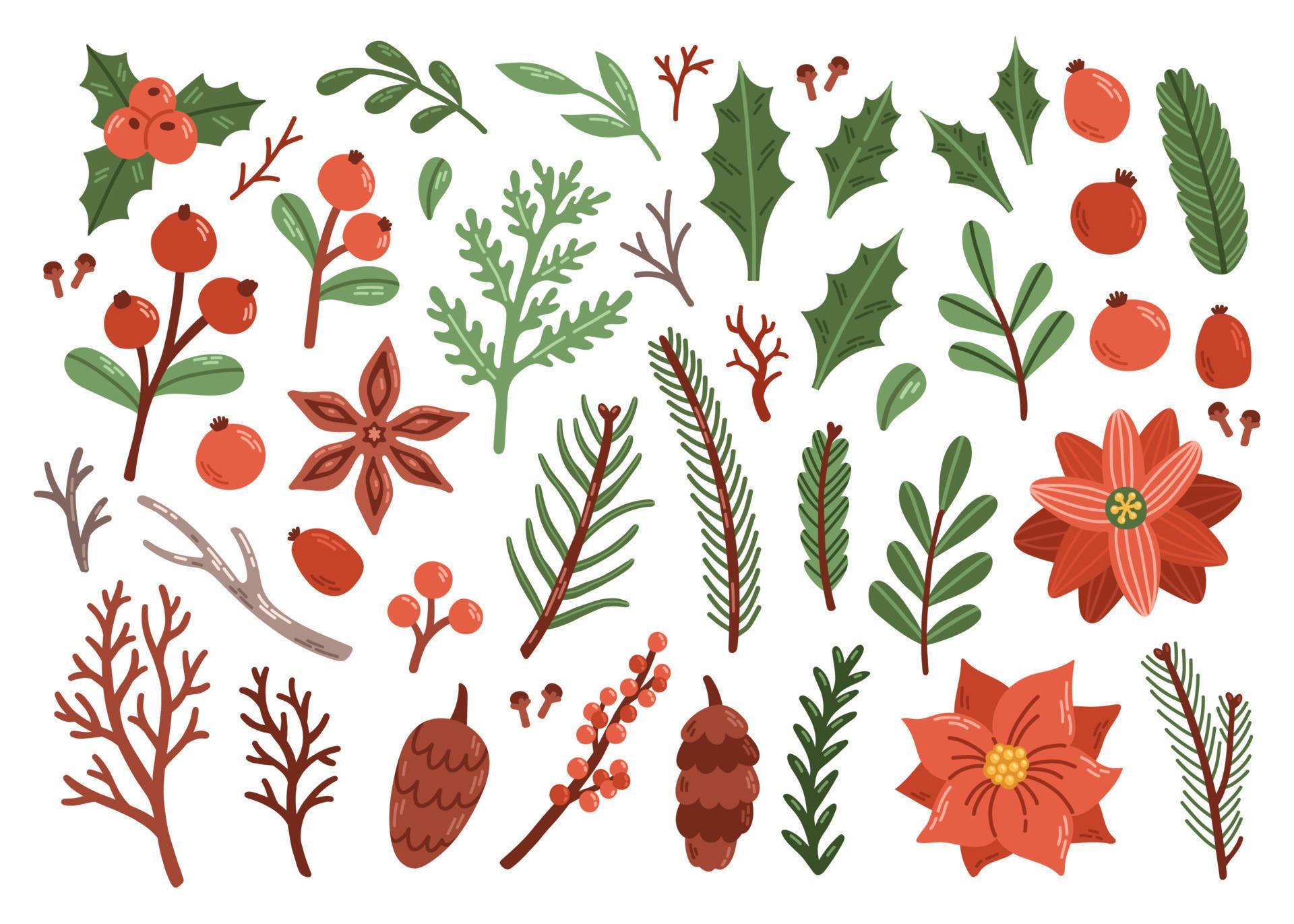 Christmas berries leaves and branches set flat design isolated vector illustration 11640052 ...