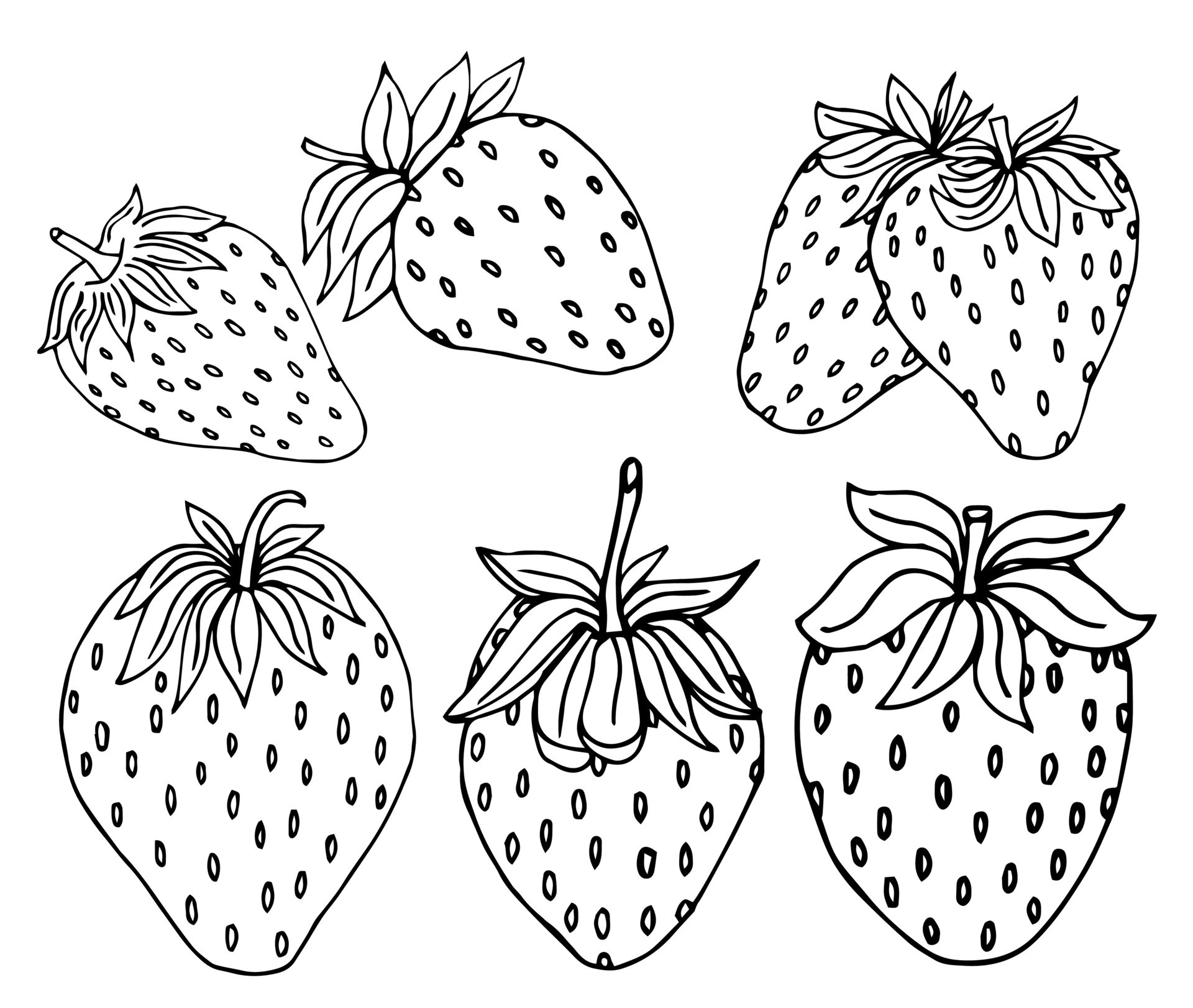Hand Drawn Strawberry With Leaves And Flowers Set Outline Black And