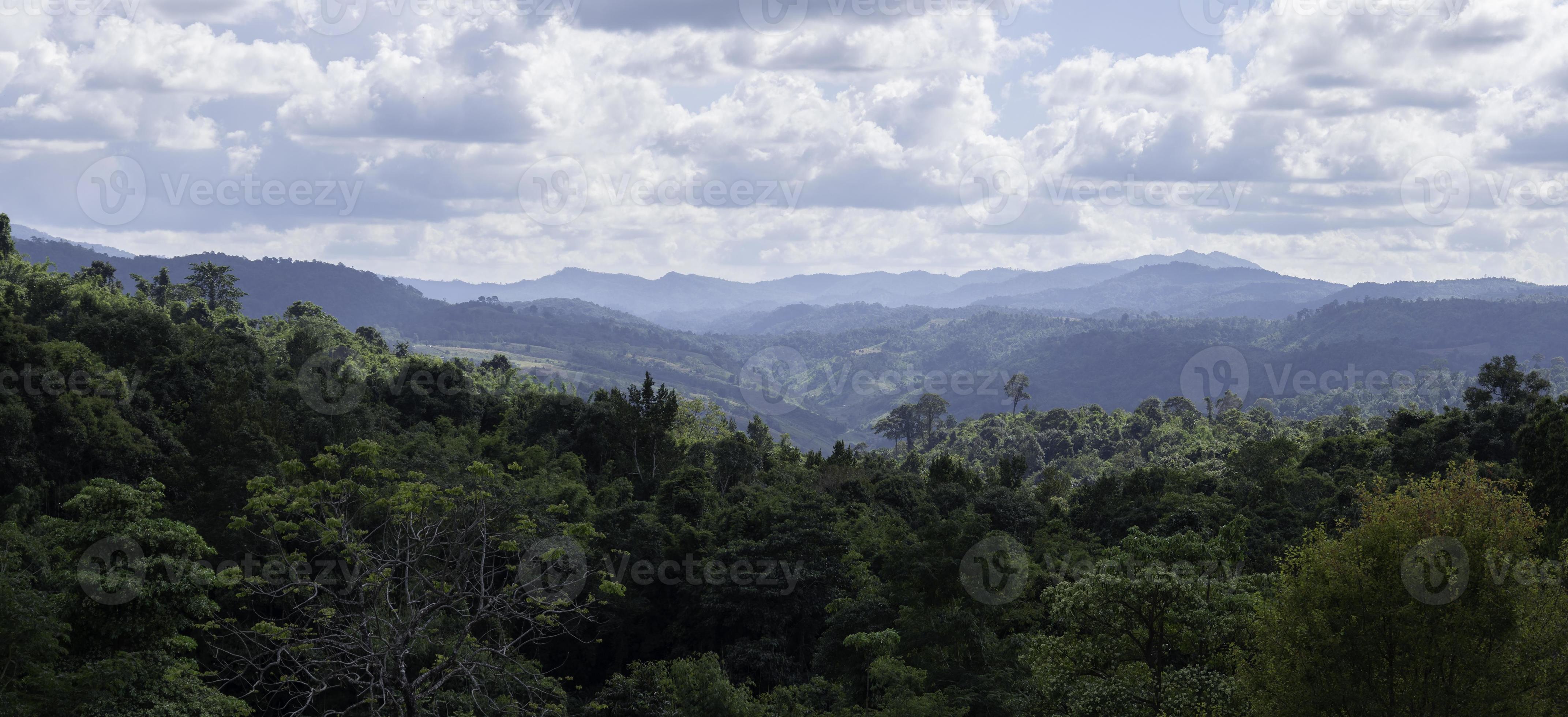 panorama de la selva tropical y la montaña y la nube 11648050 Foto de ...