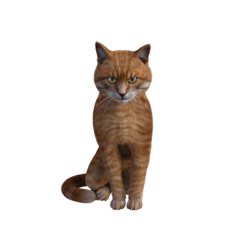 Cute Cat 3d Rendering 11662666 Png