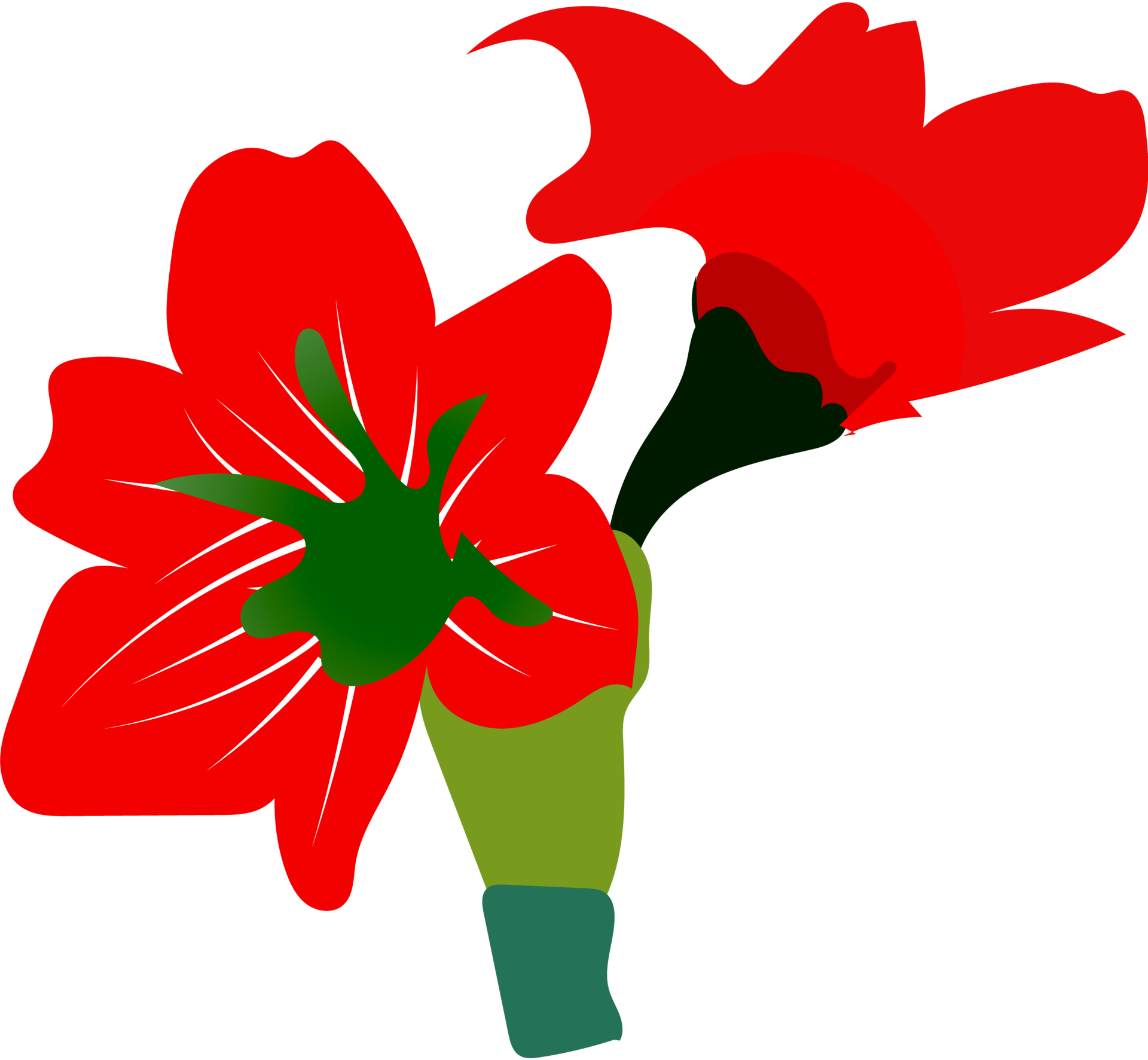 Png Floral Ornamental Design Elements 11665278 Png