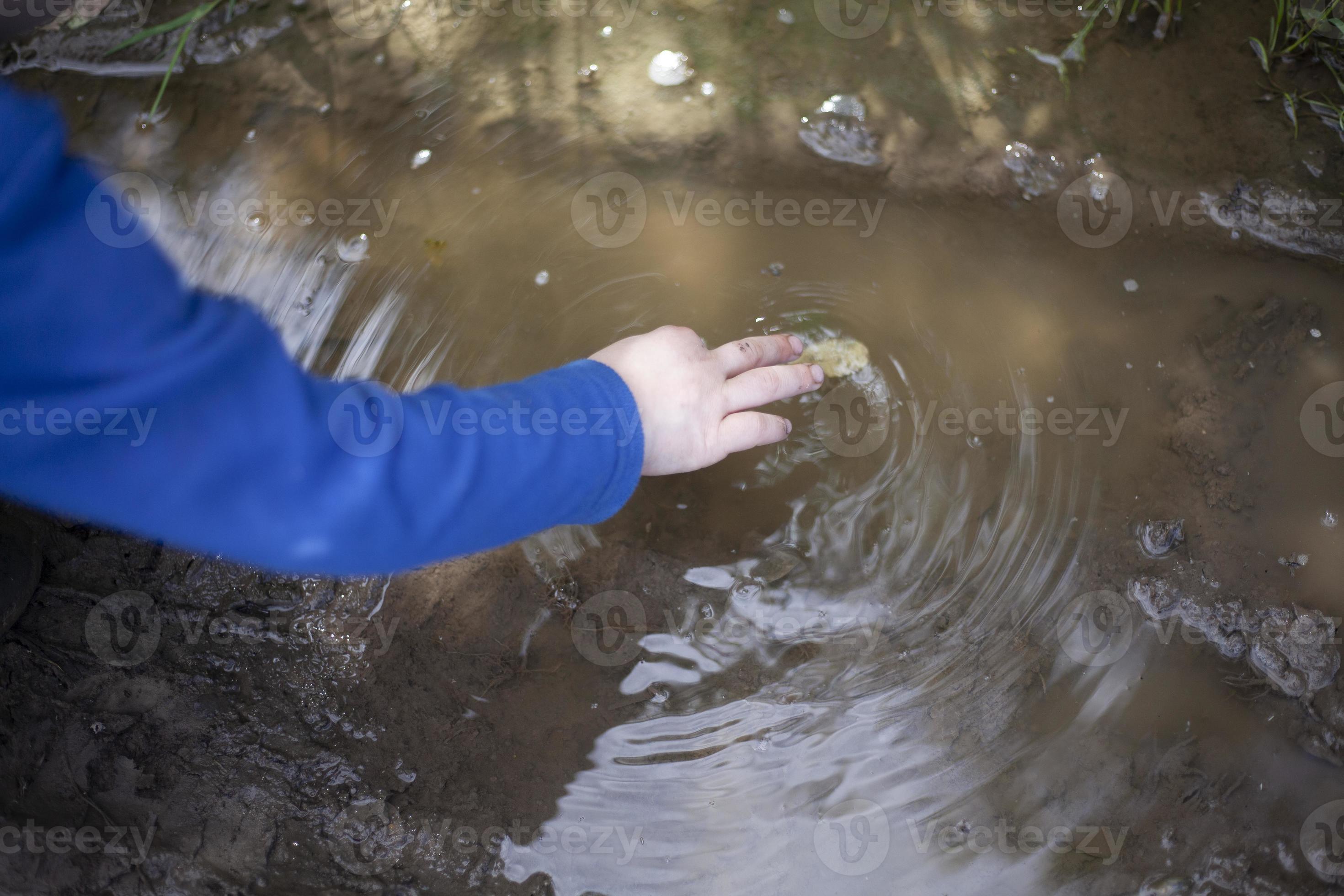 Child pulls dirt out of puddle. Child touches water. Boy searches for object in muddy puddle ...