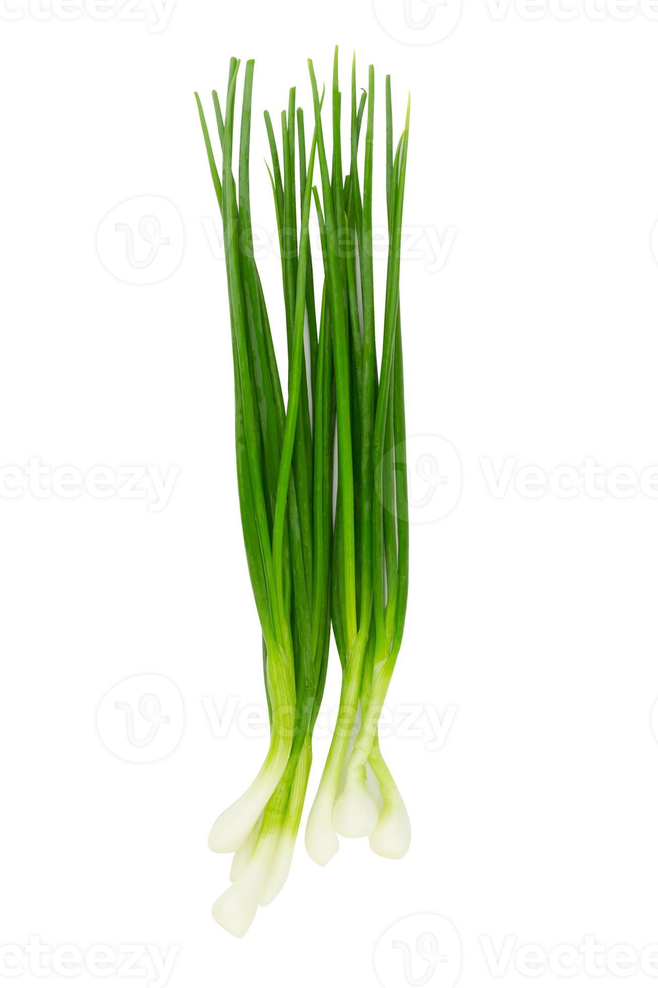 Green Spring Onion on white background 11700695 Stock Photo at Vecteezy
