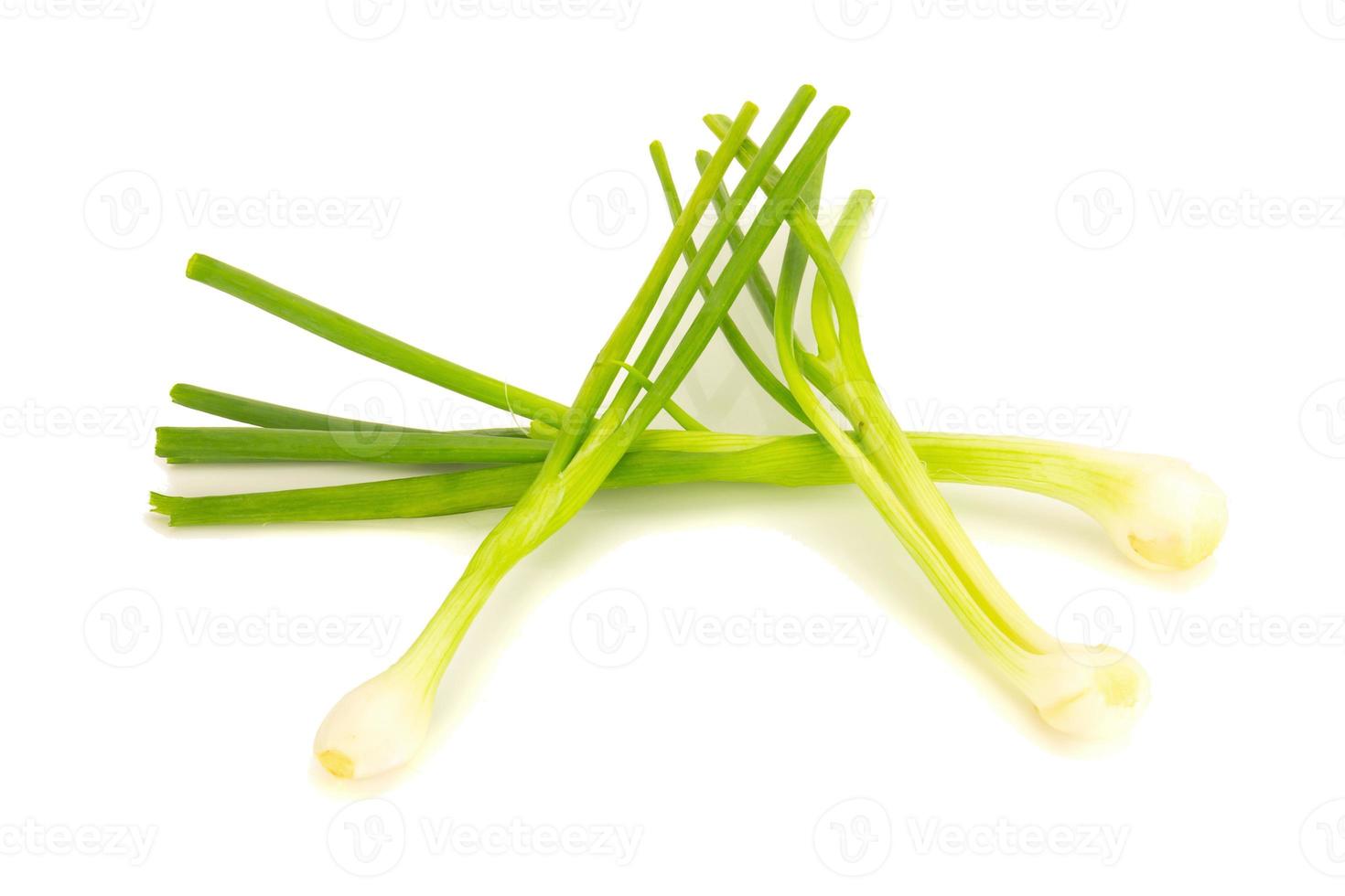 spring onion isolated on the white background 11701062 Stock Photo at ...