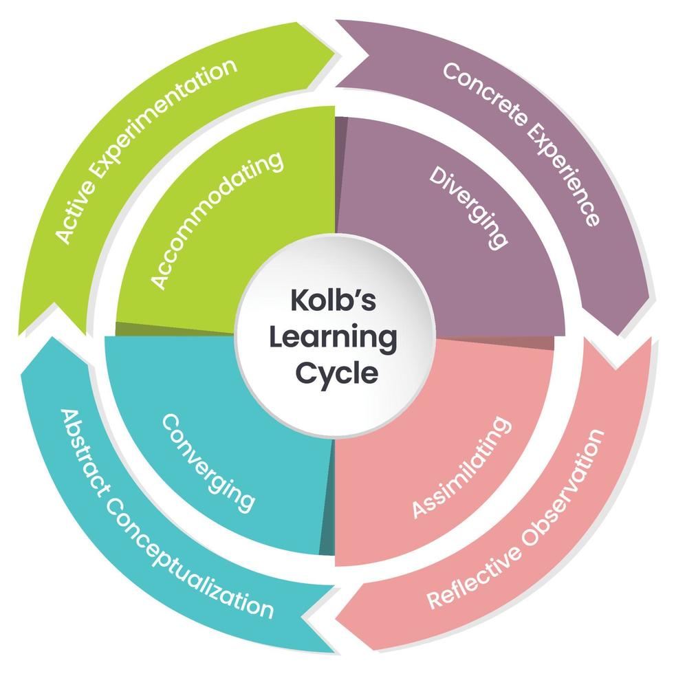 Kolb's Learning Cycle Infographic Vector Illustration 11704771 Vector ...