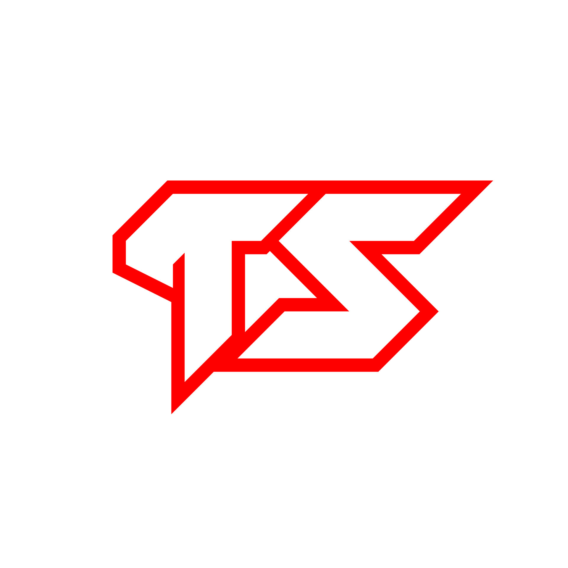 T S Logo
