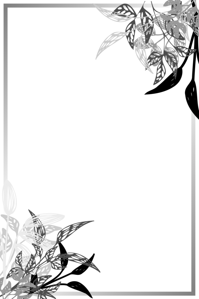 Invitation Border Png Pngs For Free Download