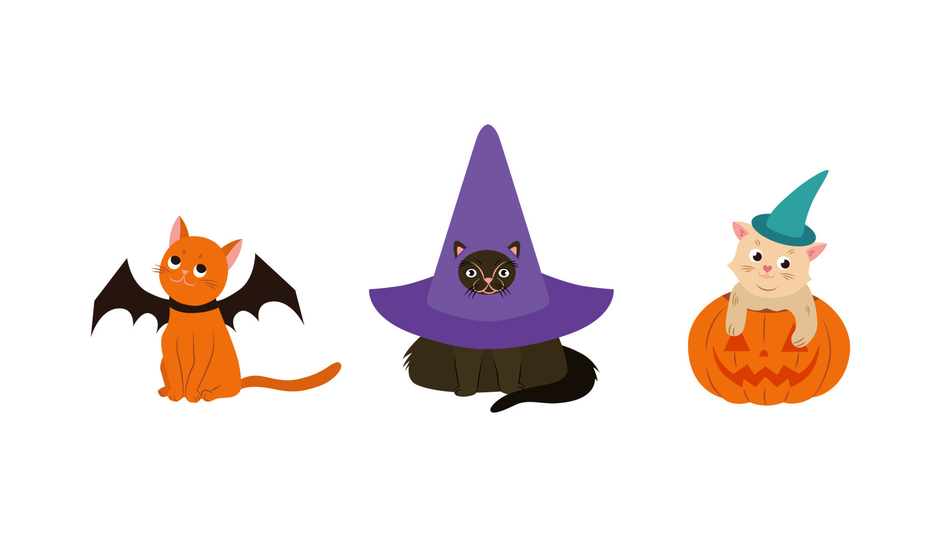 Halloween cats. Black cat in witch hat vector illustration. Happy ...