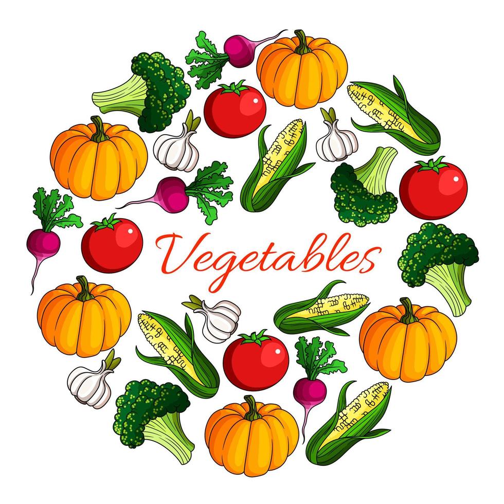 Vegetables harvest poster of vegetarian veggies 11776562 Vector Art at ...