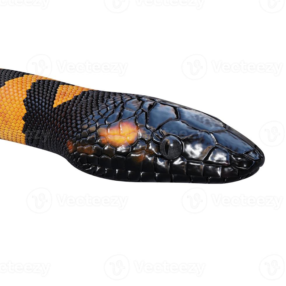 Bismarck ringed python 3D illustration. 11800311 Stock Photo at Vecteezy