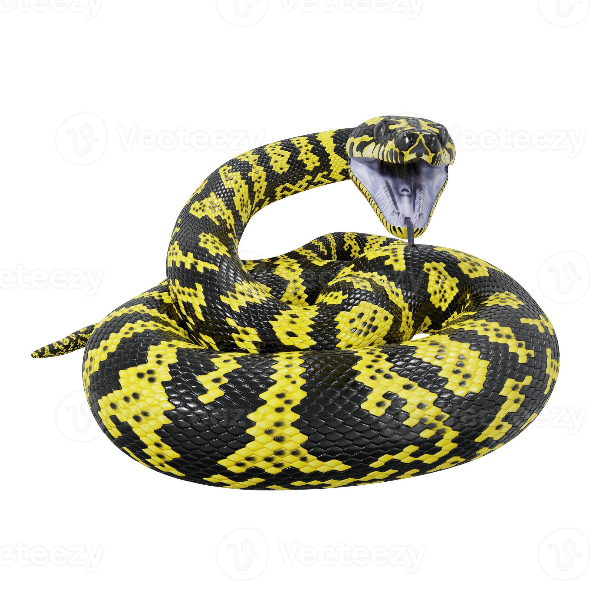 Zebra jungle carpet python 3D illustration. 11800321 Stock Photo at ...