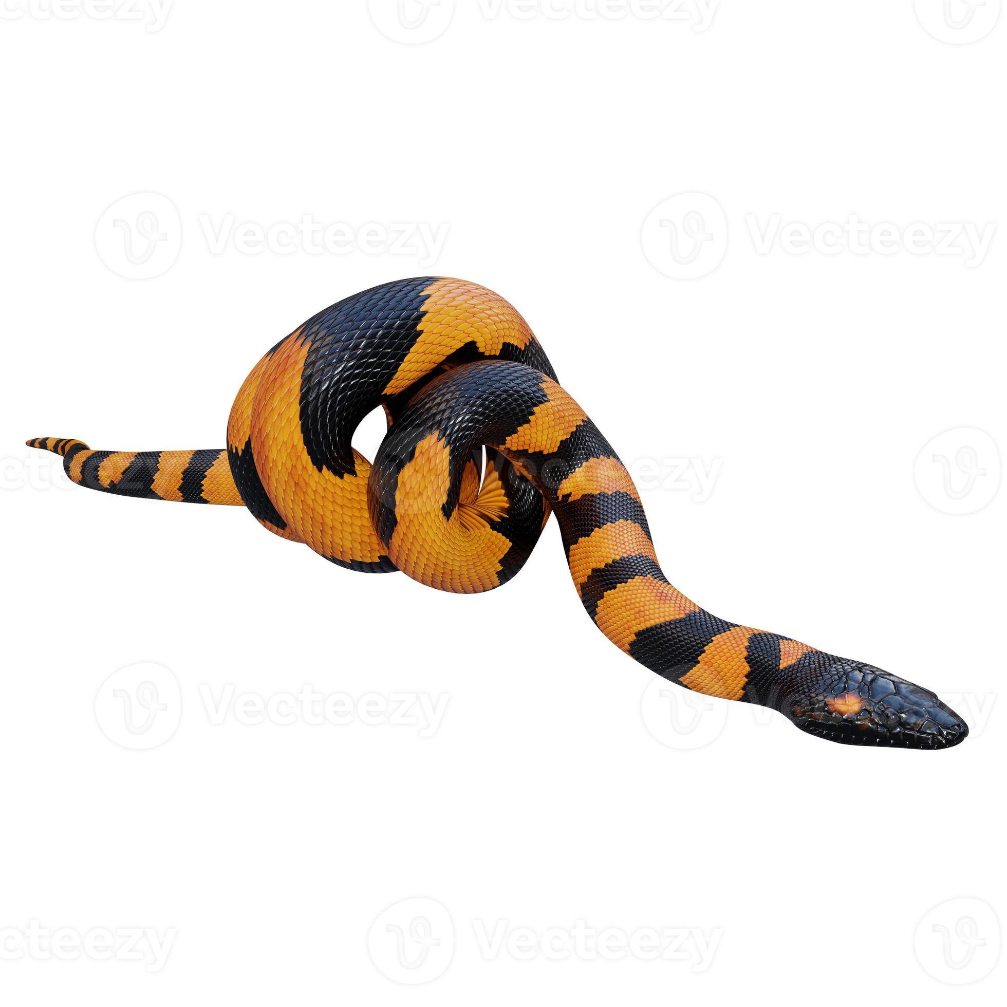 bismarck anillado python 3d ilustración. 11800357 Foto de stock en Vecteezy