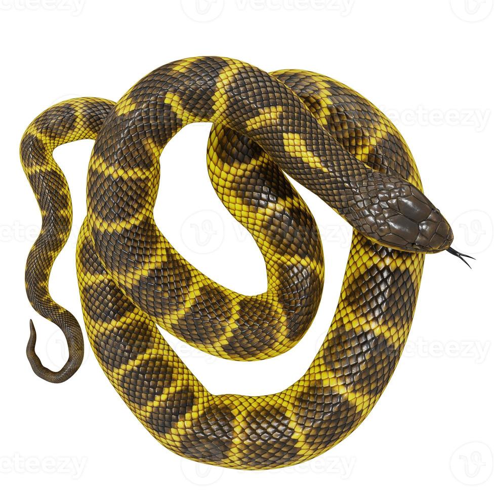Tiger snake 3D illustration. 11800377 Stock Photo at Vecteezy