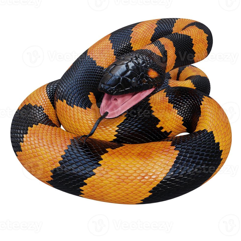 Bismarck ringed python 3D illustration. 11800443 Stock Photo at Vecteezy Bismarck ringed python 3D illustration. 11800443 Stock Photo at Vecteezy