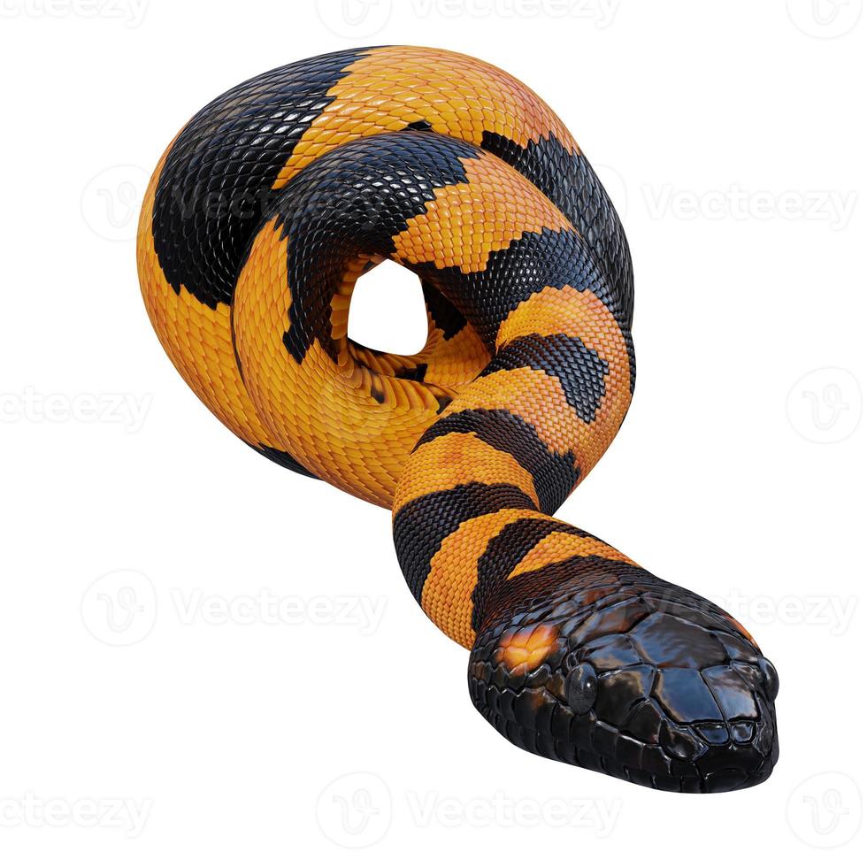 Bismarck ringed python 3D illustration. 11800444 Stock Photo at Vecteezy