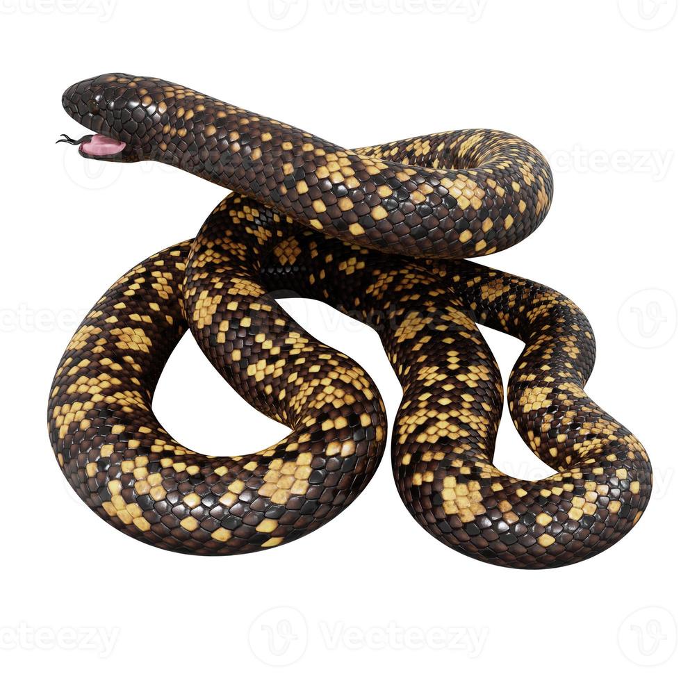 Calabar python 3D illustration. 11800521 Stock Photo at Vecteezy