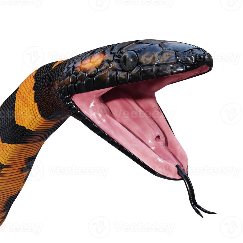 Bismarck ringed python 3D illustration. 11800536 Stock Photo at Vecteezy