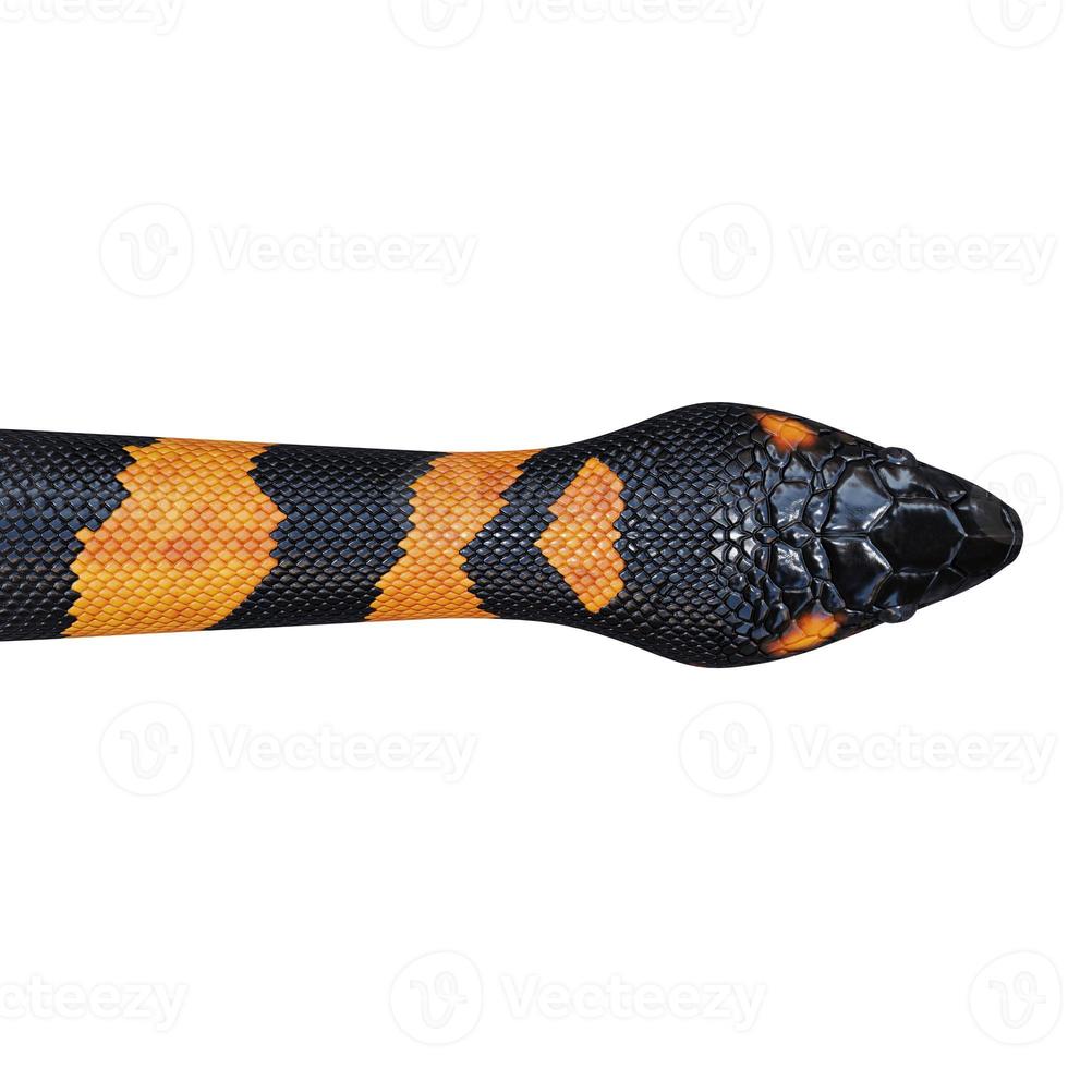 Bismarck ringed python 3D illustration. 11800586 Stock Photo at Vecteezy Bismarck ringed python 3D illustration. 11800586 Stock Photo at Vecteezy