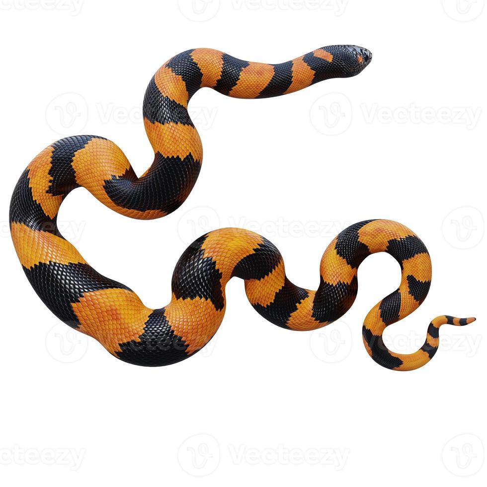 Bismarck ringed python 3D illustration. 11800592 Stock Photo at Vecteezy Bismarck ringed python 3D illustration. 11800592 Stock Photo at Vecteezy
