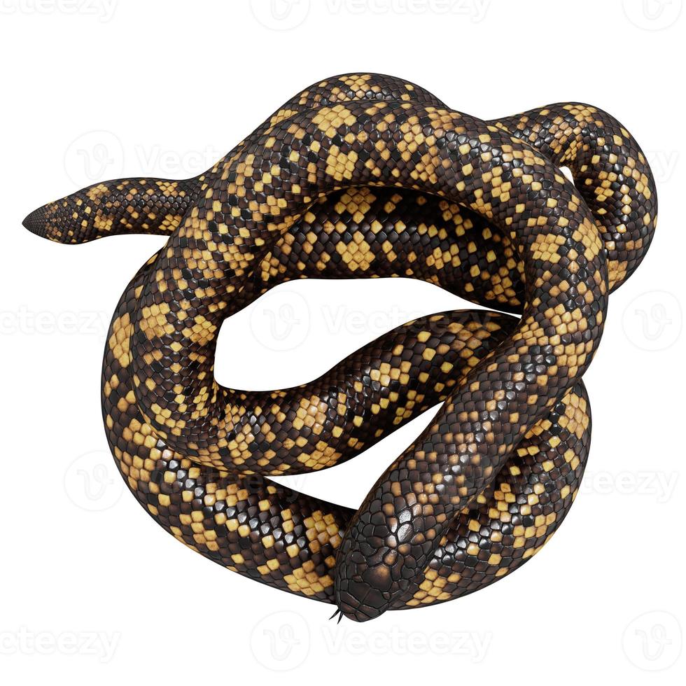 Calabar python 3D illustration. 11800601 Stock Photo at Vecteezy