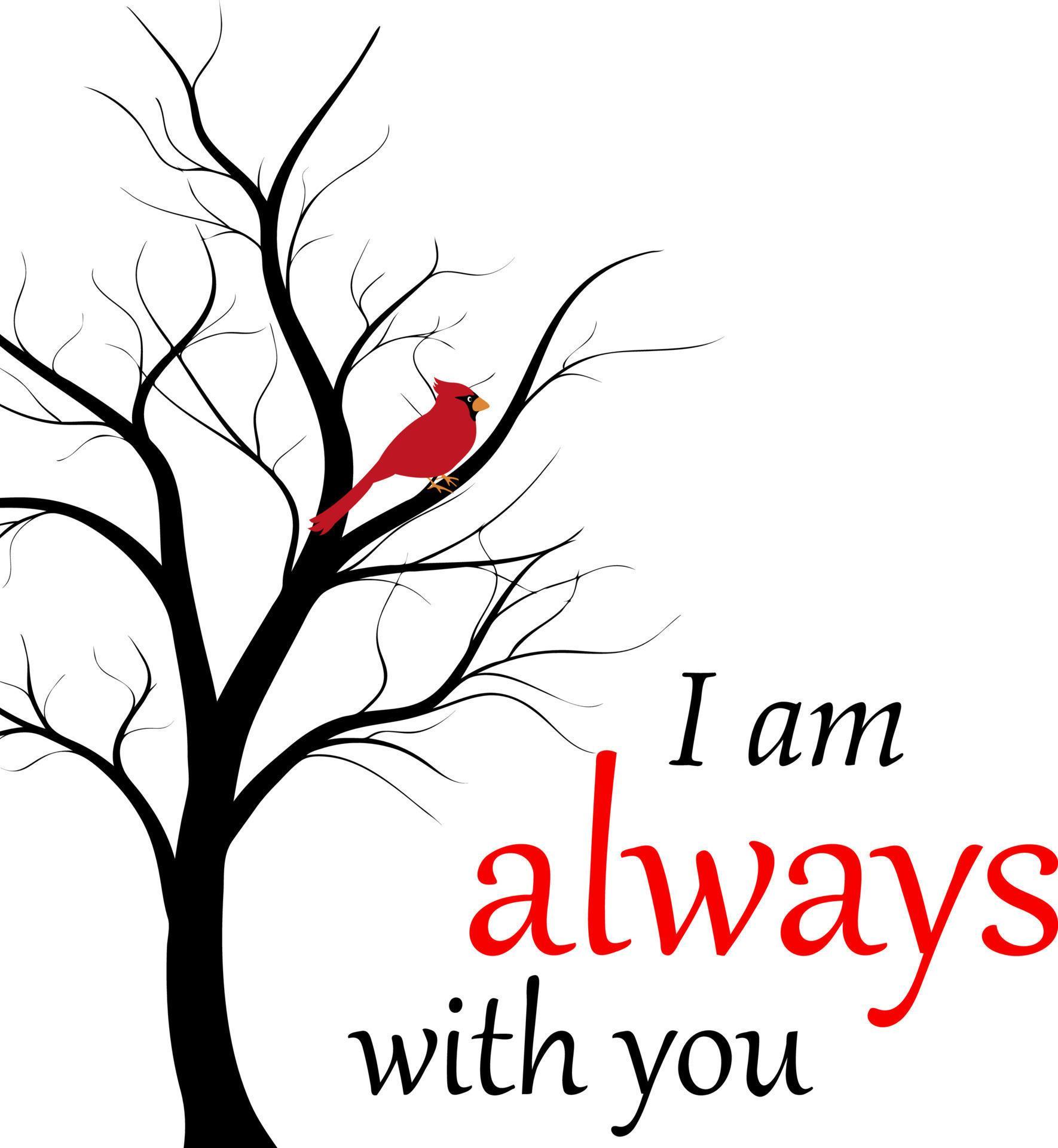 red cardinal bird in the tree branch. 11814634 Vector Art at Vecteezy