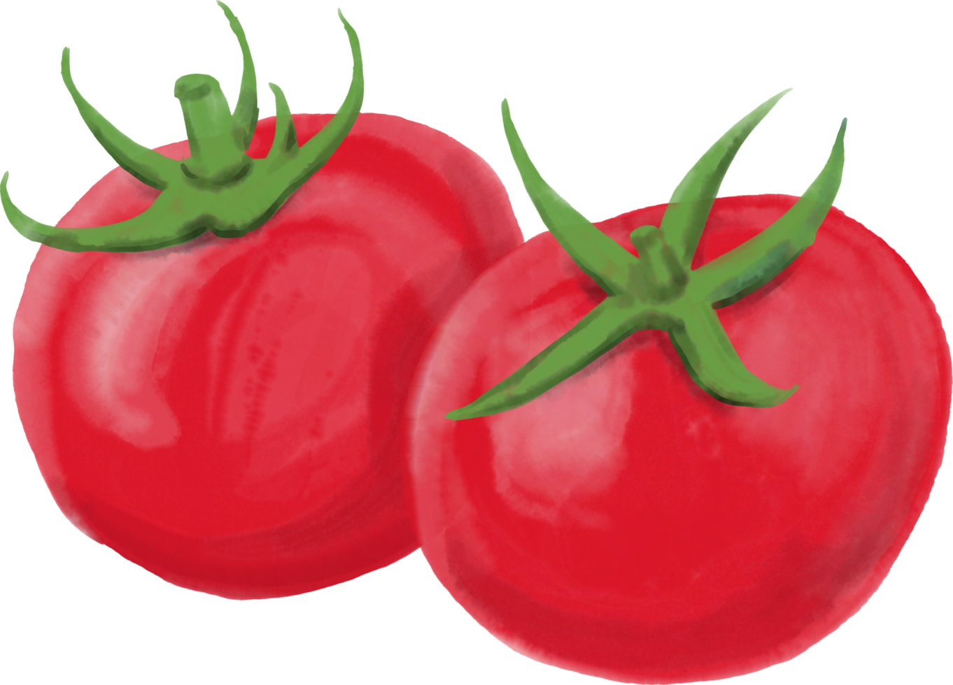 watercolor painting of tomato vegetable. 11835667 PNG