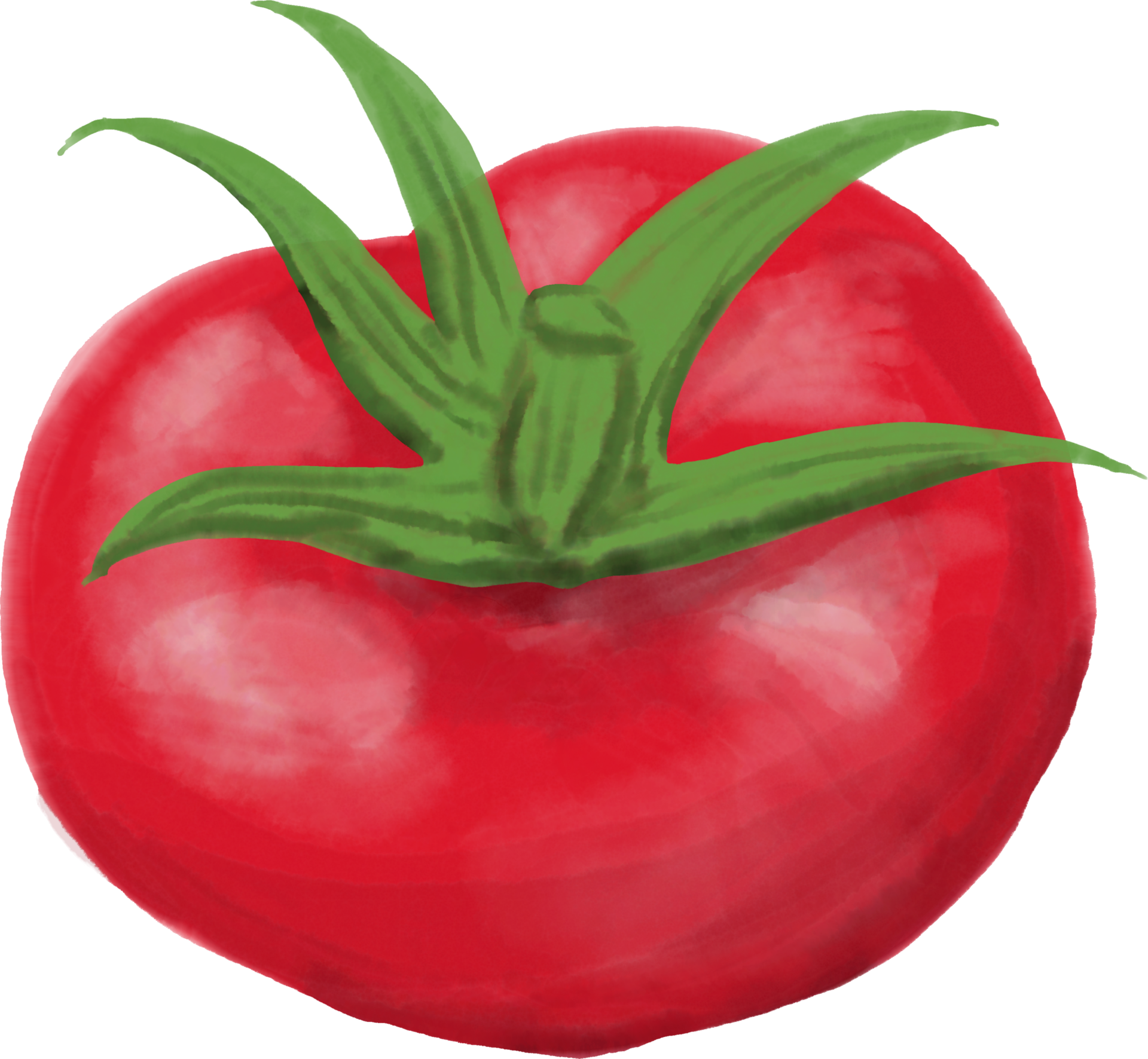watercolor painting of tomato vegetable. 11835669 PNG
