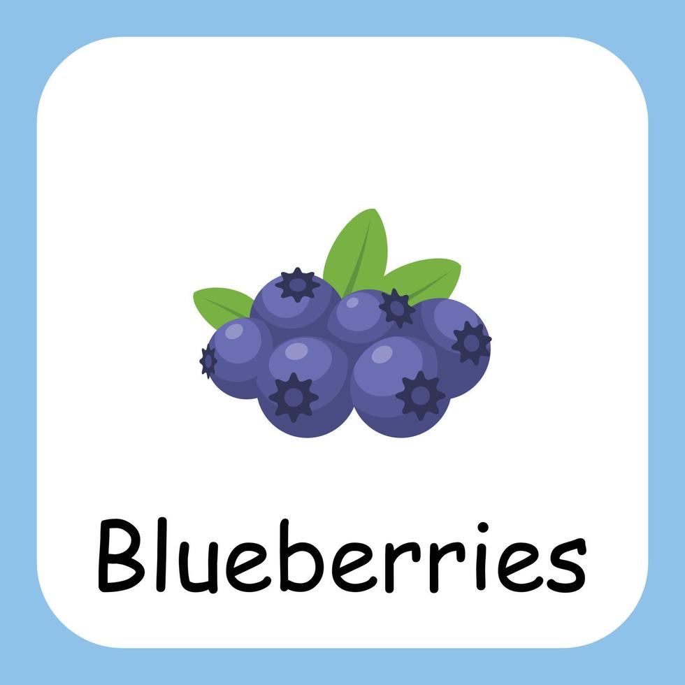 Blueberries Clip art with text, Flat design. Education for kids. Vector ...