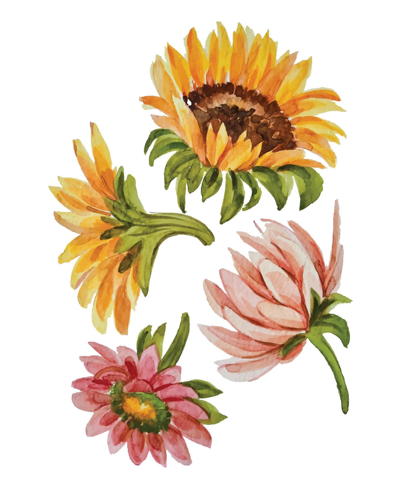 Watercolor Flower Elements Vector 11849133 Vector Art At Vecteezy
