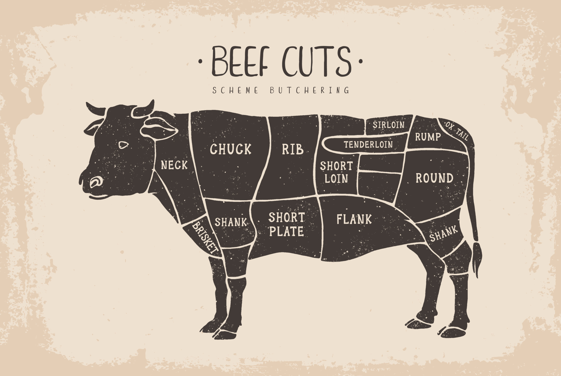Beef Cuts Poster Butcher Diagram For Groceries Meat Stores Butcher Shop 11853339 Vector Art